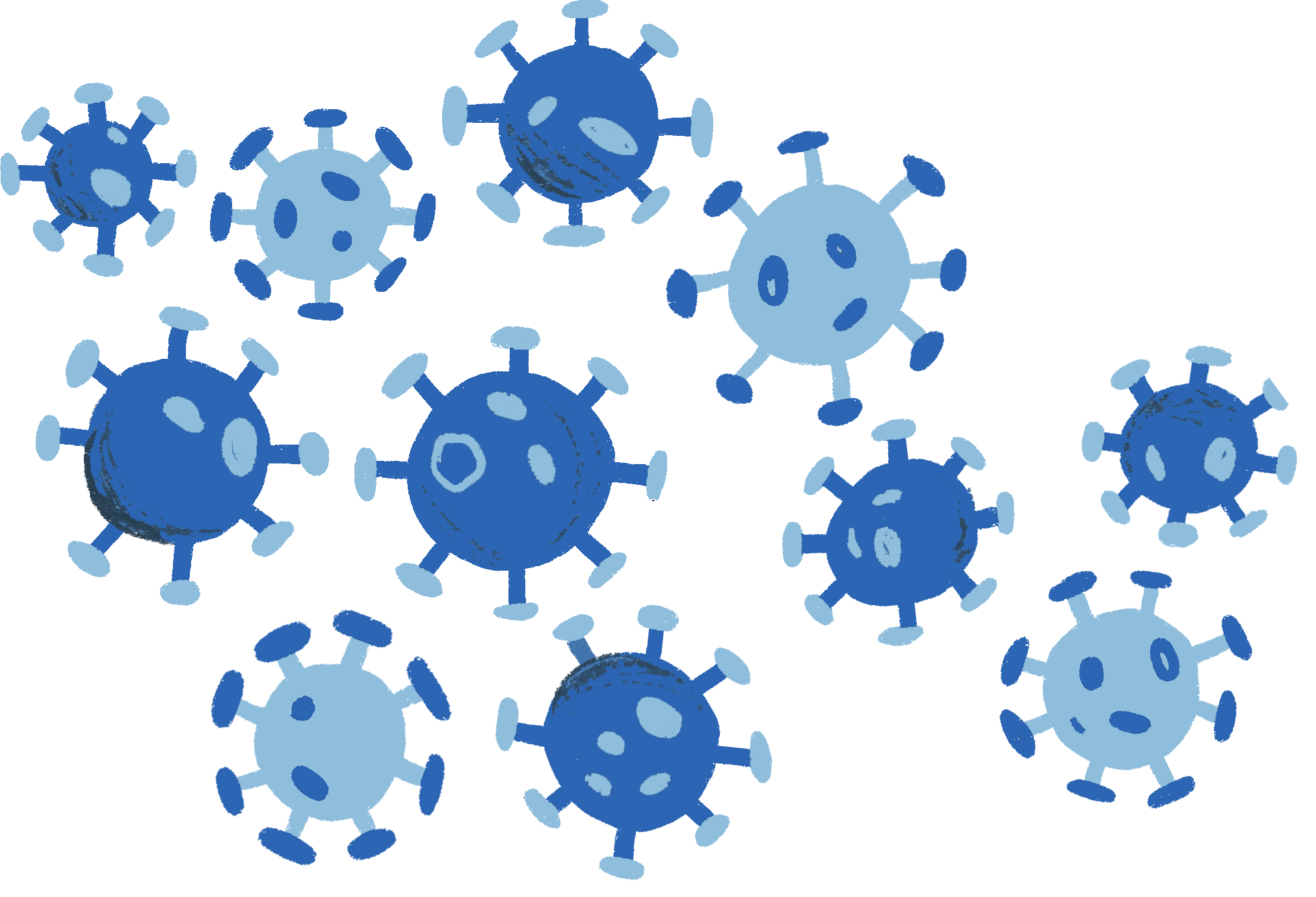 Home - Anima Research Center